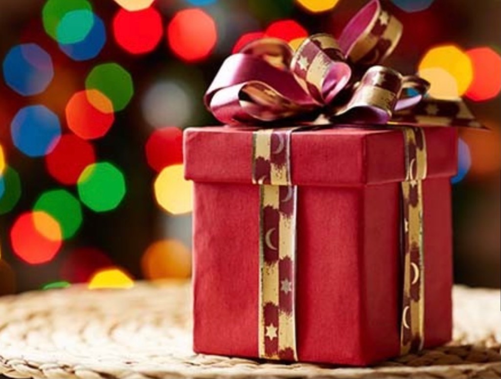 The Treasure Chest Store | RiderwoodLife.com