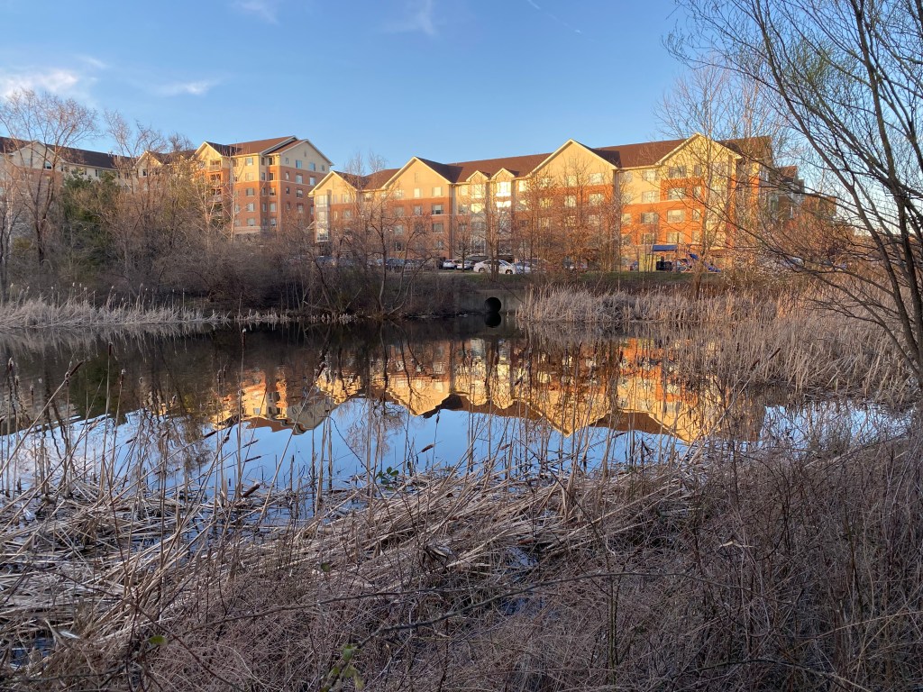 Campus Photos | RiderwoodLife.com