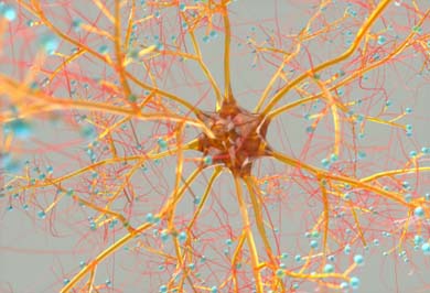 Peripheral Neuropathy Support Group – RiderwoodLife.com